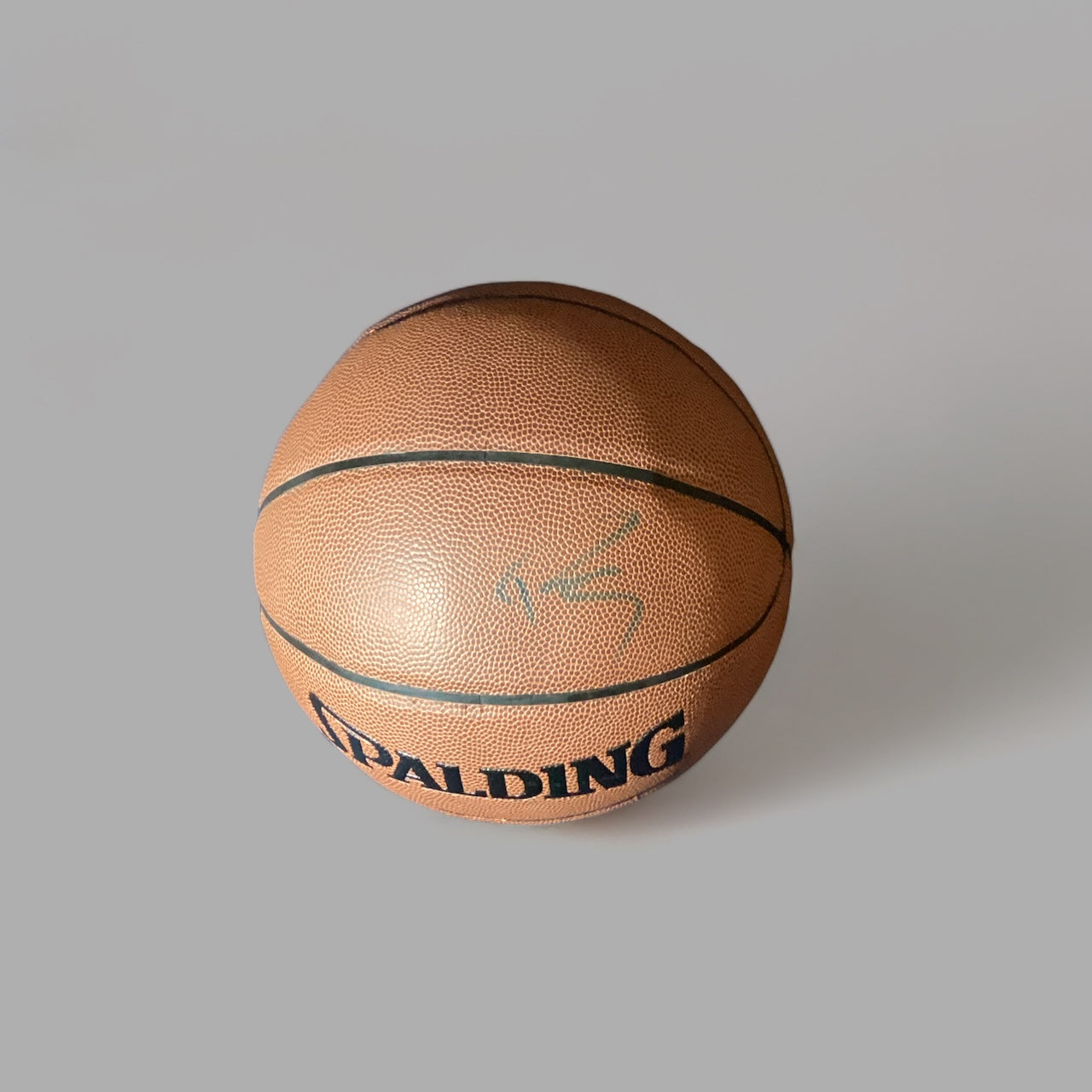 Rajon Rondo Autographed Signed basketball Elite Promotions & Graphz Au